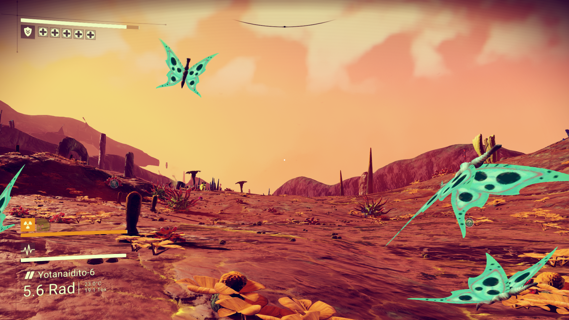 Twenty Butterflies: Samples Gathered Across Three Years of Exploration ...